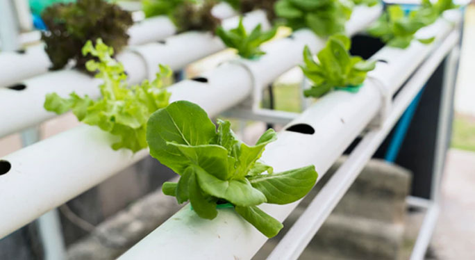 6th Global Vertical Farming Show | 10th & 11th September, 2025